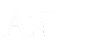 Anavia Jewelry Gifts – Anavia Jewelry & Gift